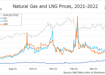 Global LNG Carrier Fleet | Global LNG Hub